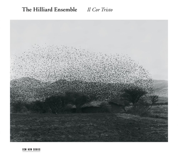 The Hilliard Ensemble: V/C: Il Cor Tristo - CD | Opus3a